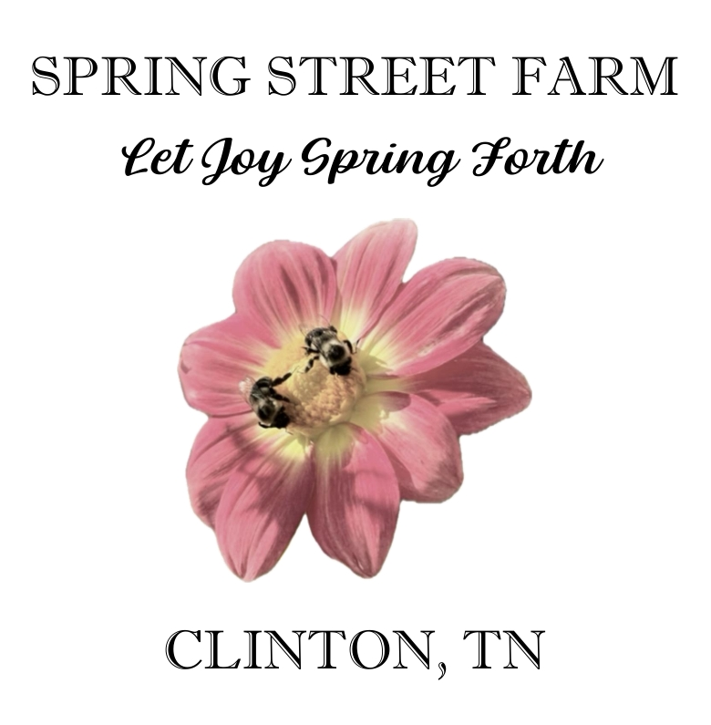 Digital Gift Cards – Spring Street Farm